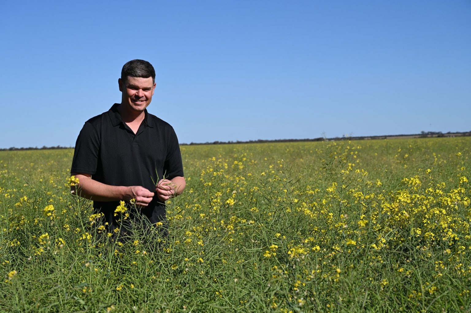 About the Graham’s farm